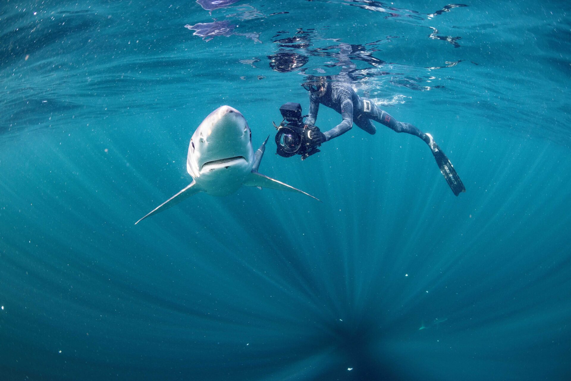 RTÉ announces new series North Atlantic – The Dark Ocean – About RTÉ